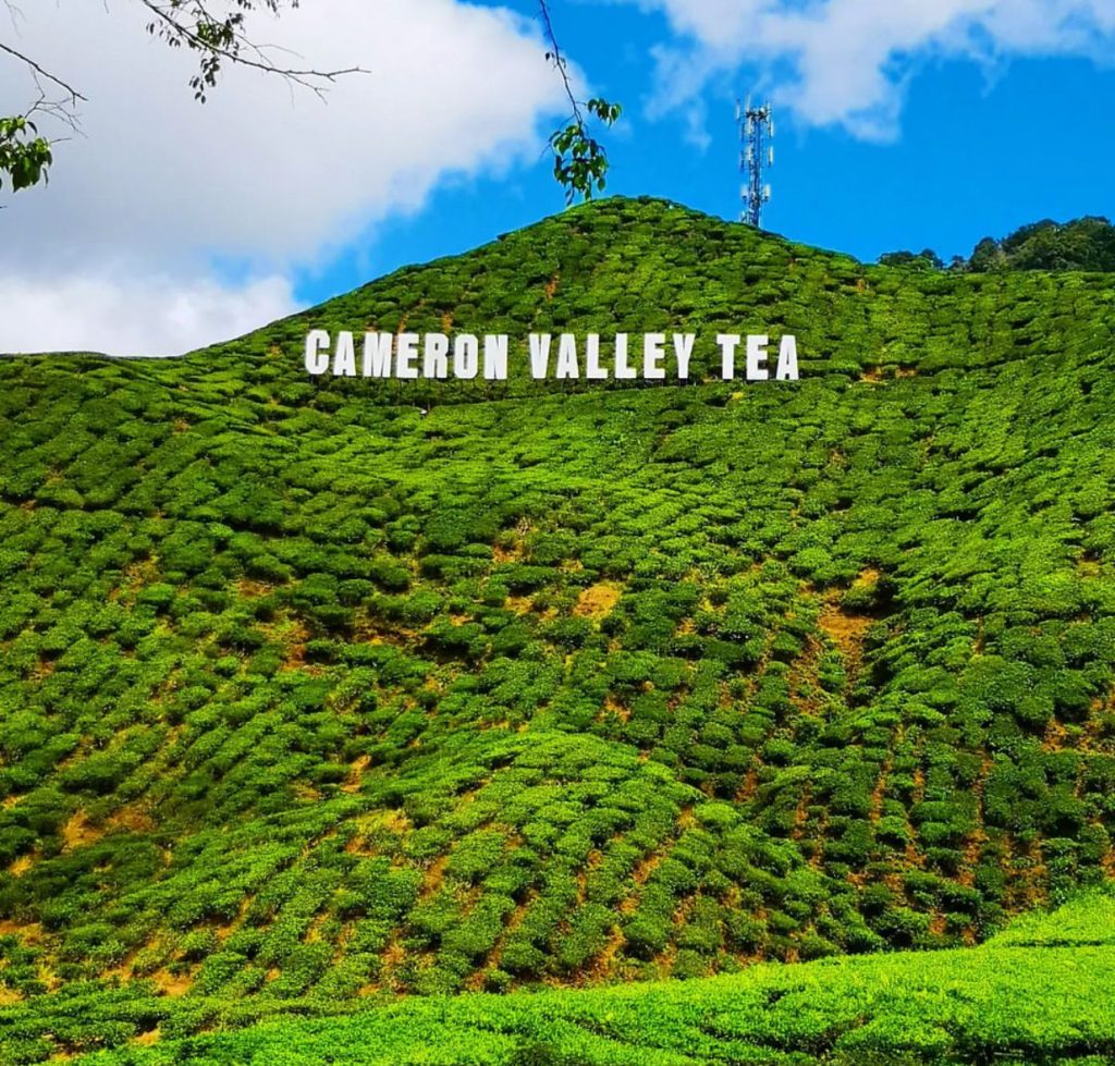 Cameron Valley Tea House: Spectacular View With Delicious Food - Eatery ...