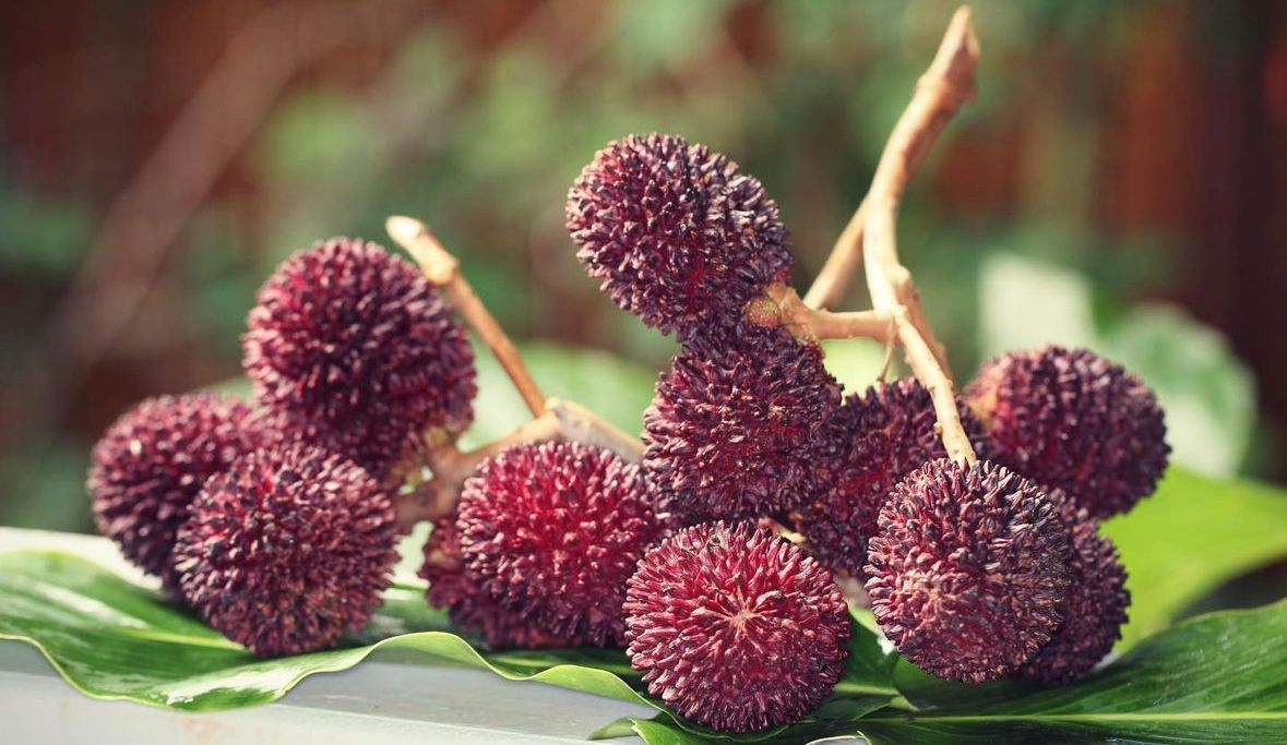 Unveiling Malaysia's Hidden Treasure in Seasonal Fruit – “The Pulasan ...